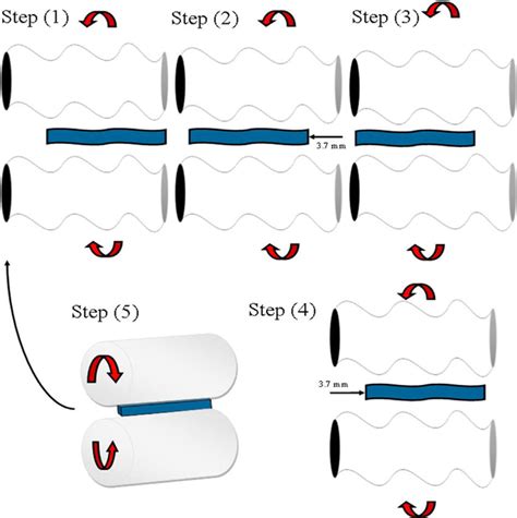 Schematic Illustration Of The Rcsr Process Download Scientific Diagram