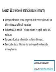 Cell To Cell Interactions And Immunity Exploring Extracellular Course Hero
