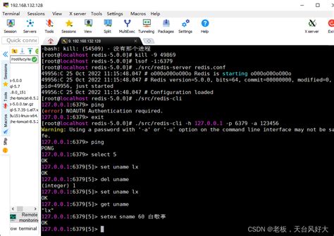 Linux之Redis安装及配置 kinux里查询redis CSDN博客