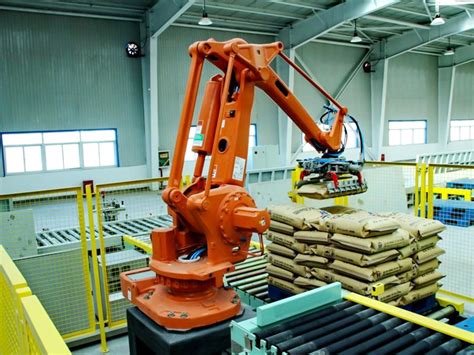 Travel Handing Robot Arm Manipulator Technical Robot Palletizer Machine