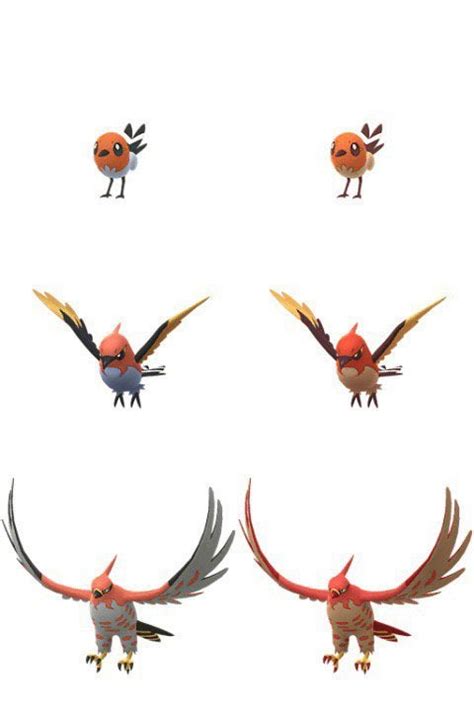 Pokemon Talonflame Evolution