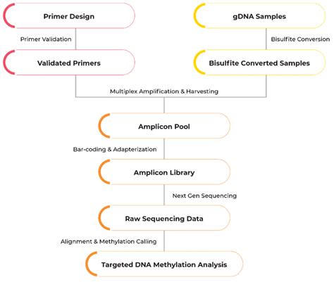 Targeted Bisulfite Sequencing Service Ecogen
