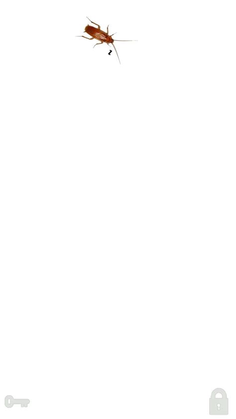 Fly Simulator Cat Toy Apk Para Android Descargar