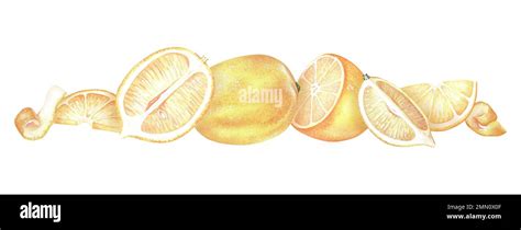 Yellow Lemon Elongated Horizontal Composition Whole Citrus Zest Half