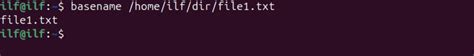 How To Use Bash Basename Command To Extract Filenames