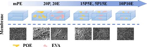 Preparation Of Metallocene Polyethylene Films With Tunable Onset Heat‐sealing Temperatures