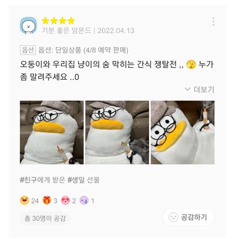 재치있는 오둥이 바디필로우 리뷰들 인스티즈 Instiz 이슈 카테고리