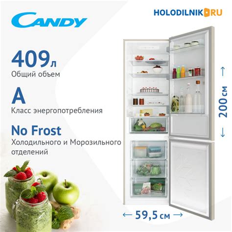 Холодильник Candy CCRN 6200C CREAM, кремовый - купить по доступной цене ...