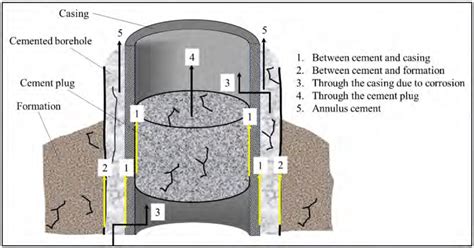 Co2 Leakage Pathways From Subsurface To Atmosphere Download