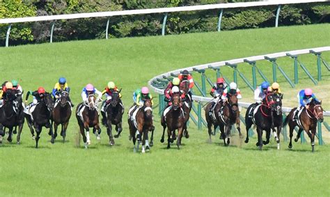 競馬コラム「勝敗その一瞬〜重賞振り返り〜」｜極ウマ・プレミアム