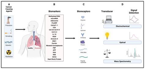 Cancers Free Full Text Emerging Biosensing Methods To Monitor Lung Cancer Biomarkers In