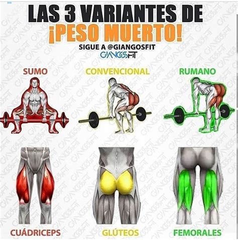 Éxito Fitness En Instagram “¿estás List Para Comenzar Tu