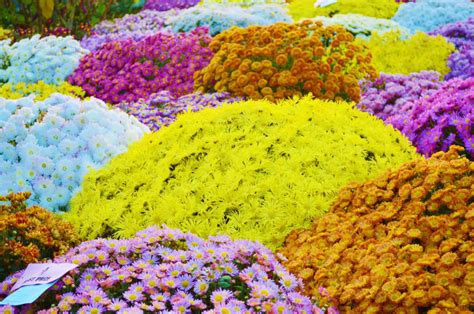 Random Assortment Of Images 2