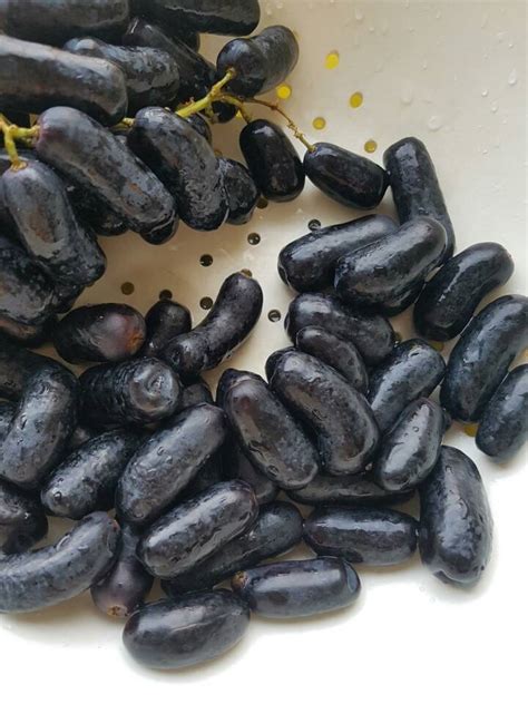 블랙사파이어 포도  인스티즈 Instiz 이슈 카테고리