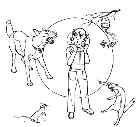Home Treatment 101 Animal Bites