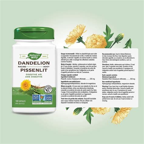 Capsule Natures Way Dandelion Root At Best Price In Pune Id 26466924648