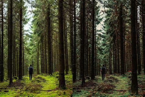 Lightroom Lut