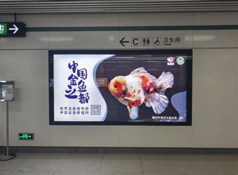 福州市海洋与渔业局 福州地铁广告 广告案例 第一户外传媒