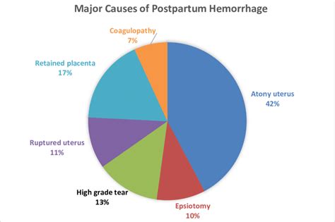 Causes Of Pph Among Women Delivered At St Joseph Mission Referral