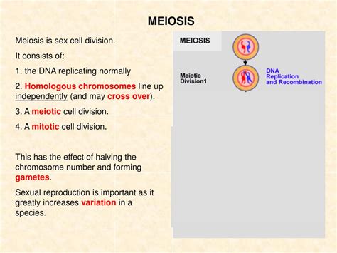 Ppt Gene Interactions Powerpoint Presentation Free Download Id3095832