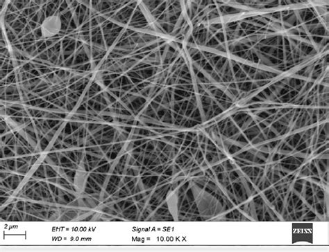 Scanning Electron Microscope Observation The Electrospun Nanofibrous Download Scientific