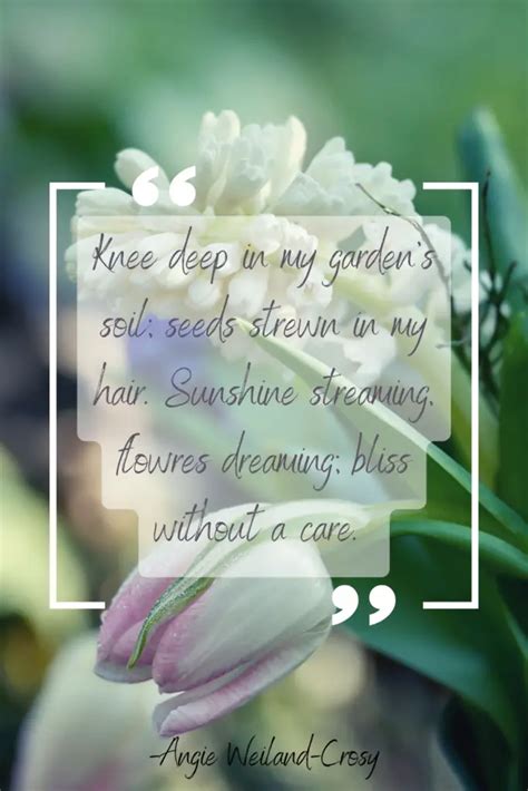 Must Read Spring Poems That Capture The Essence Of The Season Life Is Poetry
