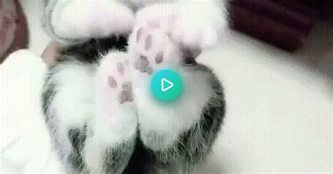 Feetsies And Beans  On Imgur