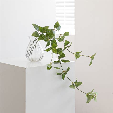 몬트레소르 몬트레소르 그린덩굴 나뭇가지 필로우 조화 실크플라워 그리너리 테이블 인테리어조화 위시버킷