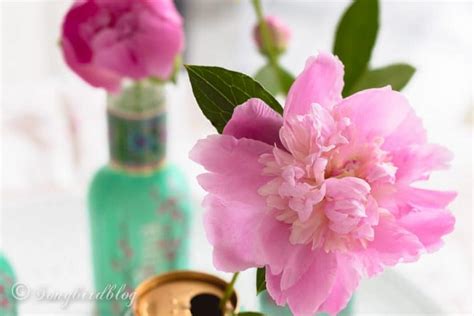 Beautiful Repurpose A Soda Can Flower Vase Songbird