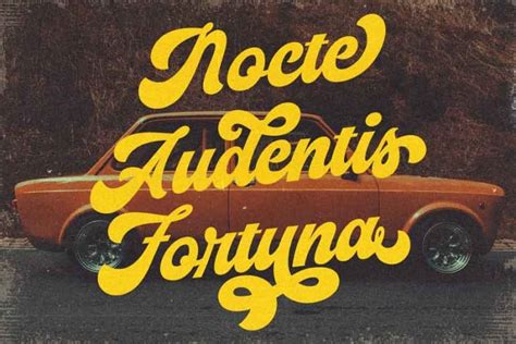 Download Vignettic Font Fontsme Com