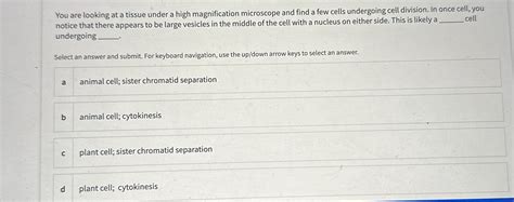Solved You Are Looking At A Tissue Under A High