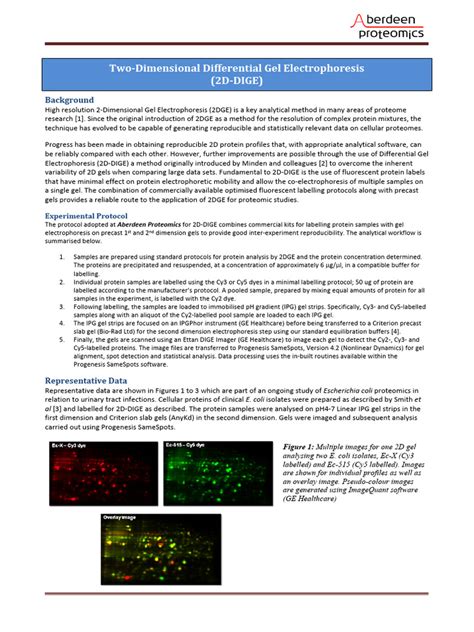 2d dige aberdeen proteomics pdf gel electrophoresis proteomics