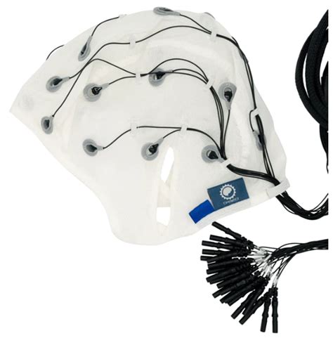Eeg Cap Drawing