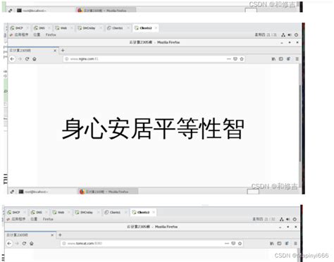 linux网络基础实验 linux下常用服务器的配置实验总结 csdn博客