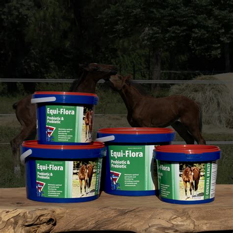 Equifox Equi Flora Barnlife Online