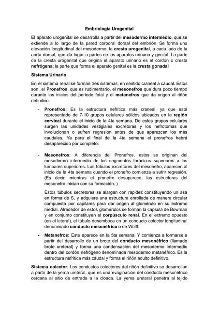 Embriología urogenital Yokayra Maldonado uDocz