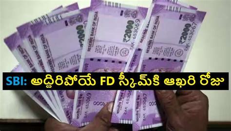 Sbi Amrit Kalash Deposit Scheme Interest Rate 2023 అత్యధిక వడ్డీ