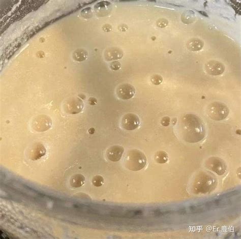「年度干货」 酵母：原来我是这个样子的 知乎