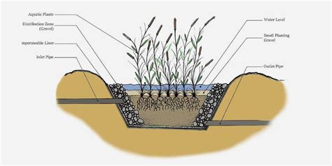 Subsurface Constructed Wetlands Peconic Estuary Partnership