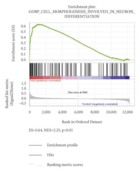 Gsea Plots Showing The Most Enriched Gene Sets Of All Detected Genes In