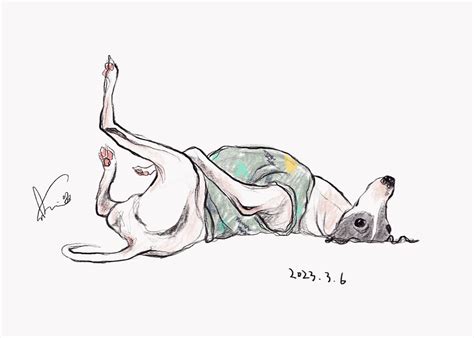 「今日の愛犬を描きました。 」sakio🐾書籍「4ステップで誰でもかわいく描ける いぬとねこのイラスト練習帖」発売中🐾のイラスト