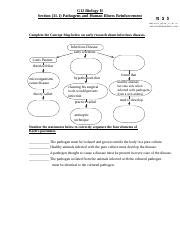 Sec Pathogens And Human Illness Practice Sheet Doc G Biology II Section Pathogens