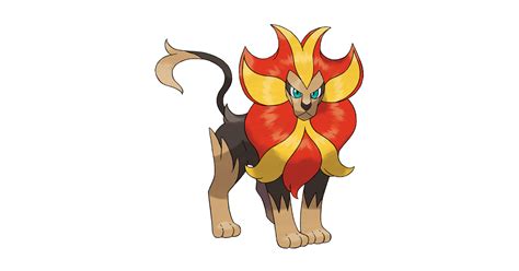 カエンジシ オスのすがた｜ポケモンずかん