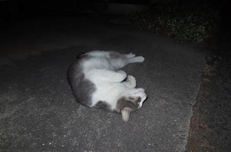 目で見る 心で見る