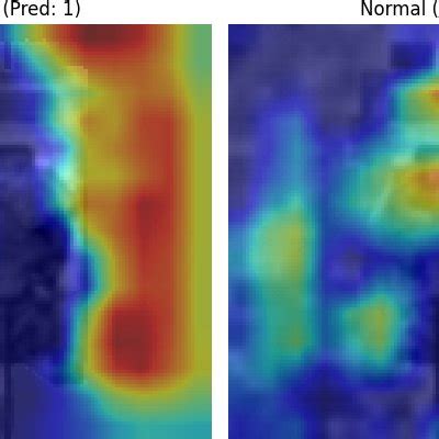 Grad CAM Heatmaps Obtained From A CNN Model Trained On Targets Objects
