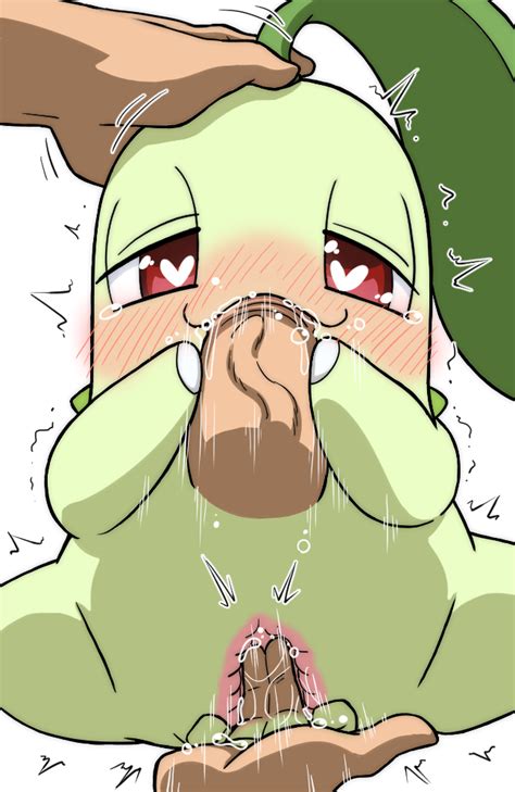 Rule 34 Blush Bodily Fluids Chikorita Elemental Creature Fellatio