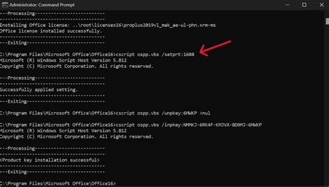 Activate Ms Office Professional Plus 2019 By Using Cmd Vnorm
