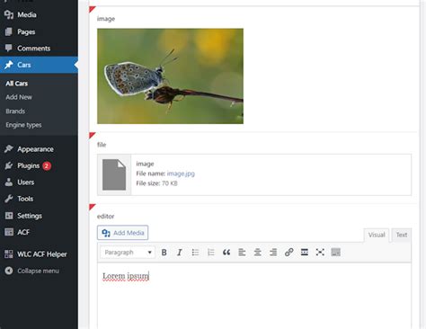 Plugin Wlc Acf Post Save Helper White Label Coders