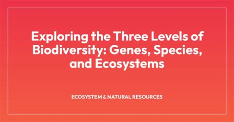 Exploring The Three Levels Of Biodiversity Genes Species And Ecosystems • Sustainability Shiksha