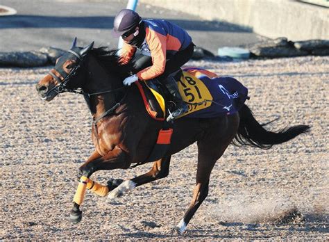 【ajcc】枠順決定、2週連続重賞v狙う横山典騎乗モリアーナは3枠3番、チャレンジc2着から参戦ボッケリーニは大外8枠12番：中日スポーツ